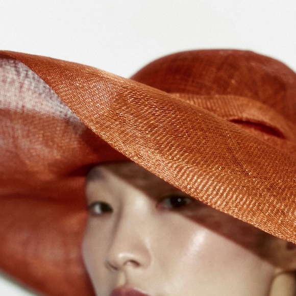 Zara | Accessories | Zara Limited Edition Raffia Picture Hat You Cannot ...